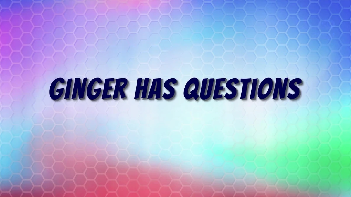 Ginger Has Questions | Talking Tom & Friends Wiki | Fandom