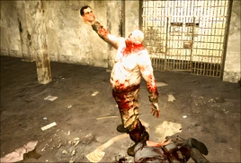Total Security | Outlast Wiki | Fandom