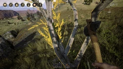 Outlaws of the Old West Wiki