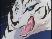 Aisha Clan-Clan | Outlaw Star Wiki | Fandom