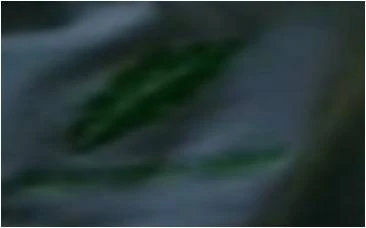 Category:Locations | Outnumbered Wiki | Fandom