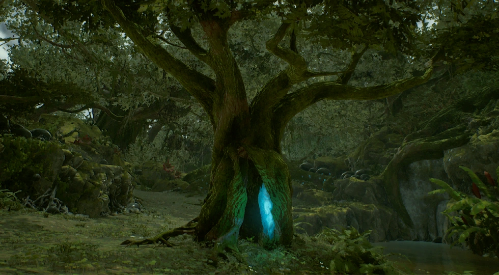 Tooka Tree | Outriders Wiki | Fandom