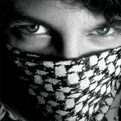 The Emerald Assassin | Outwar Wiki | Fandom