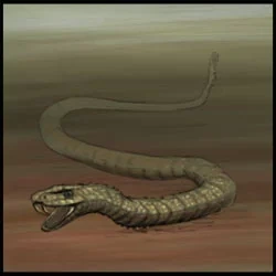 Snake | Outwar Wiki | Fandom