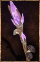 Troglodyte Staff - Official Outward Wiki