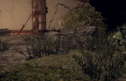 Unknown Arena/Immaculate's Camp - Official Outward Wiki