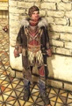Crimson Plate Armor - Official Outward Wiki
