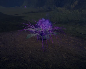 Dreamer's Root (Gatherable) - Official Outward Wiki