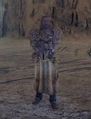 Blue Chamber Scout - Official Outward Wiki