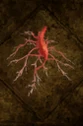 Bloodroot - Official Outward Wiki