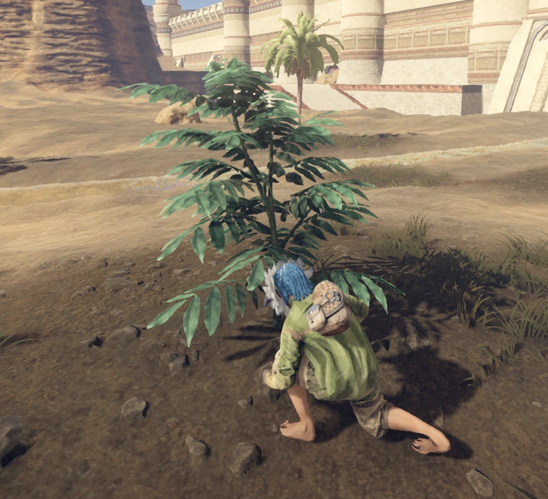 Gathering - Official Outward Wiki