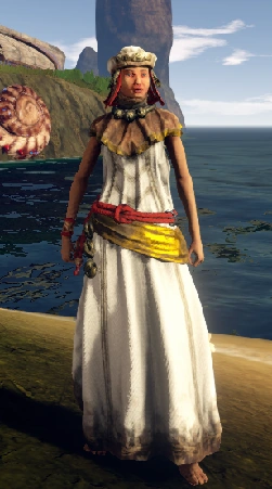 Novice Set - Official Outward Wiki