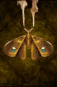 Apollo Incense - Official Outward Wiki