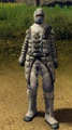 Fur Set - Official Outward Wiki
