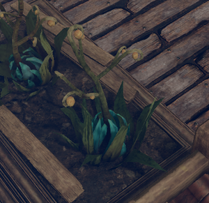 Krimp - Official Outward Wiki