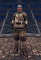 Padded Set - Official Outward Wiki