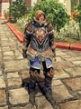 Wolf Plate Armor - Official Outward Wiki