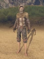 Looter Set - Official Outward Wiki
