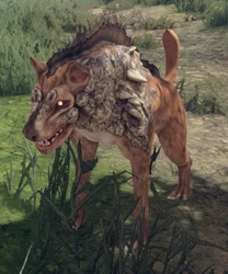 Hyena - Official Outward Wiki