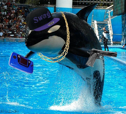 Shamu | Wikia Overdrive Media | Fandom