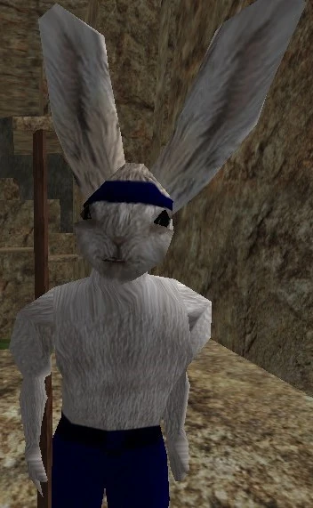 Fiver | Overgrowth Wiki | Fandom