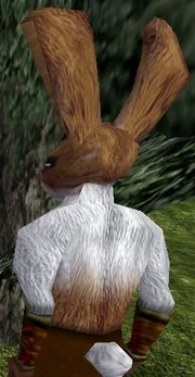 Raider | Overgrowth Wiki | Fandom