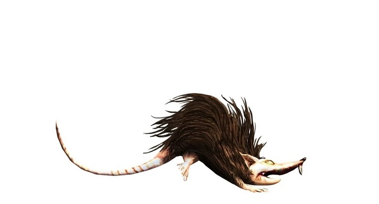 Rat | Overlord Wiki | Fandom