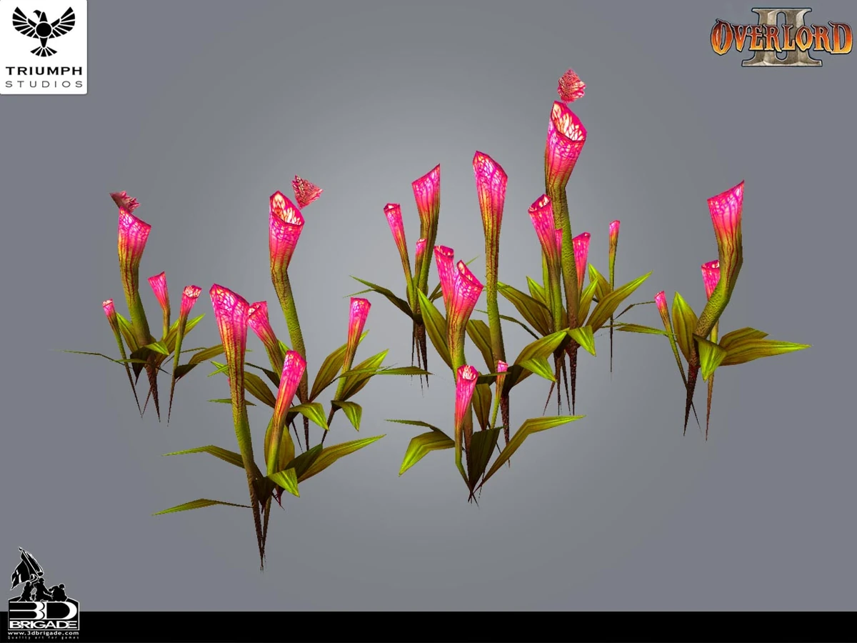 Everlight | Overlord Wiki | Fandom