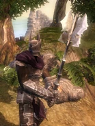 Weapons | Overlord Wiki | Fandom