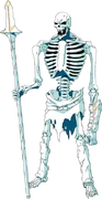 Skeleton | Overlord Wiki | Fandom