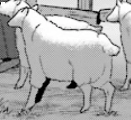 Sheep | Overlord Wiki | Fandom