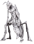 Insect | Overlord Wiki | Fandom