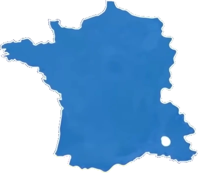 Kingdom of France | OverSimplified Wiki | Fandom