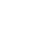 Assault - Overwatch Wiki