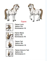 Equus | Ovipets Wiki | Fandom