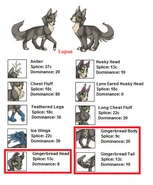 Lupus | Ovipets Wiki | Fandom