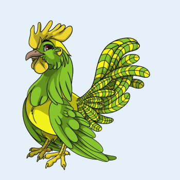 Gallus | OviPetsru вики | Fandom