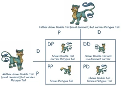 Mutations | Ovipets Wiki | Fandom