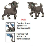 Ovis | Ovipets Wiki | Fandom