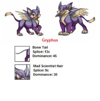 Gryphus | Ovipets Wiki | Fandom