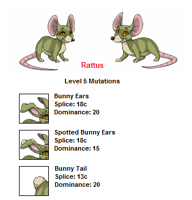 Rattus | Ovipets Wiki | Fandom