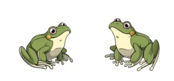 Anura | Ovipets Wiki | Fandom