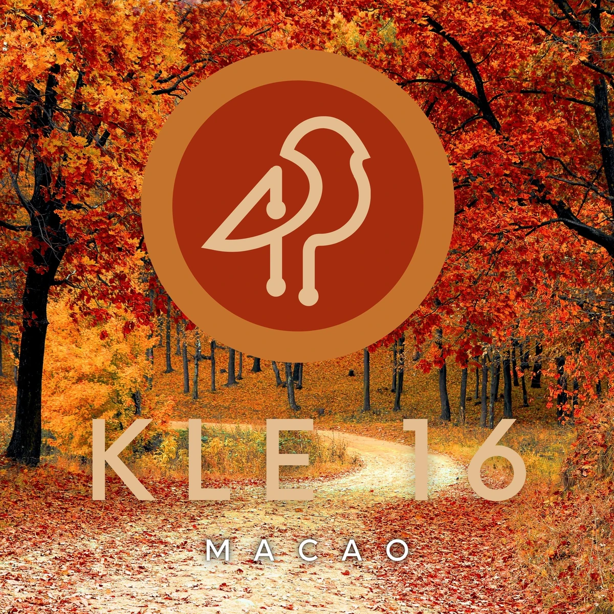 KLE 16 | Song Contest Wiki | Fandom