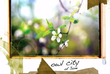Owl City Of June Album Cover