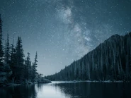 Category:Wallpapers | OwO Bot Wiki | Fandom