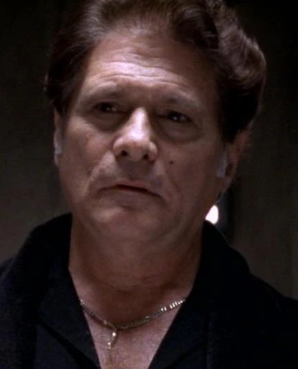 Nino Schibetta | Oz Wiki | Fandom