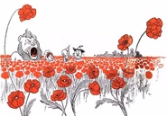 Poppies | Oz Wiki | Fandom