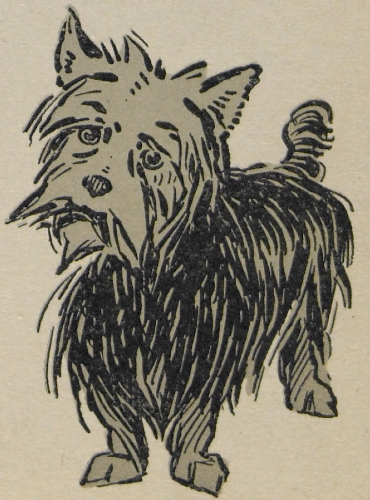 Toto (Novels) | Oz Wiki | Fandom