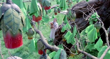 Lunch-Box Tree | Oz Wiki | Fandom