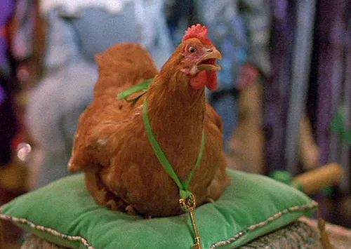 Billina (Return to Oz) | Oz Wiki | Fandom